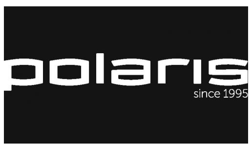 Polaris Logo Vector - (.Ai .PNG .SVG .EPS Free Download)