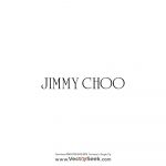 Jimmy Choo PLC Logo Vector - (.Ai .PNG .SVG .EPS Free Download)