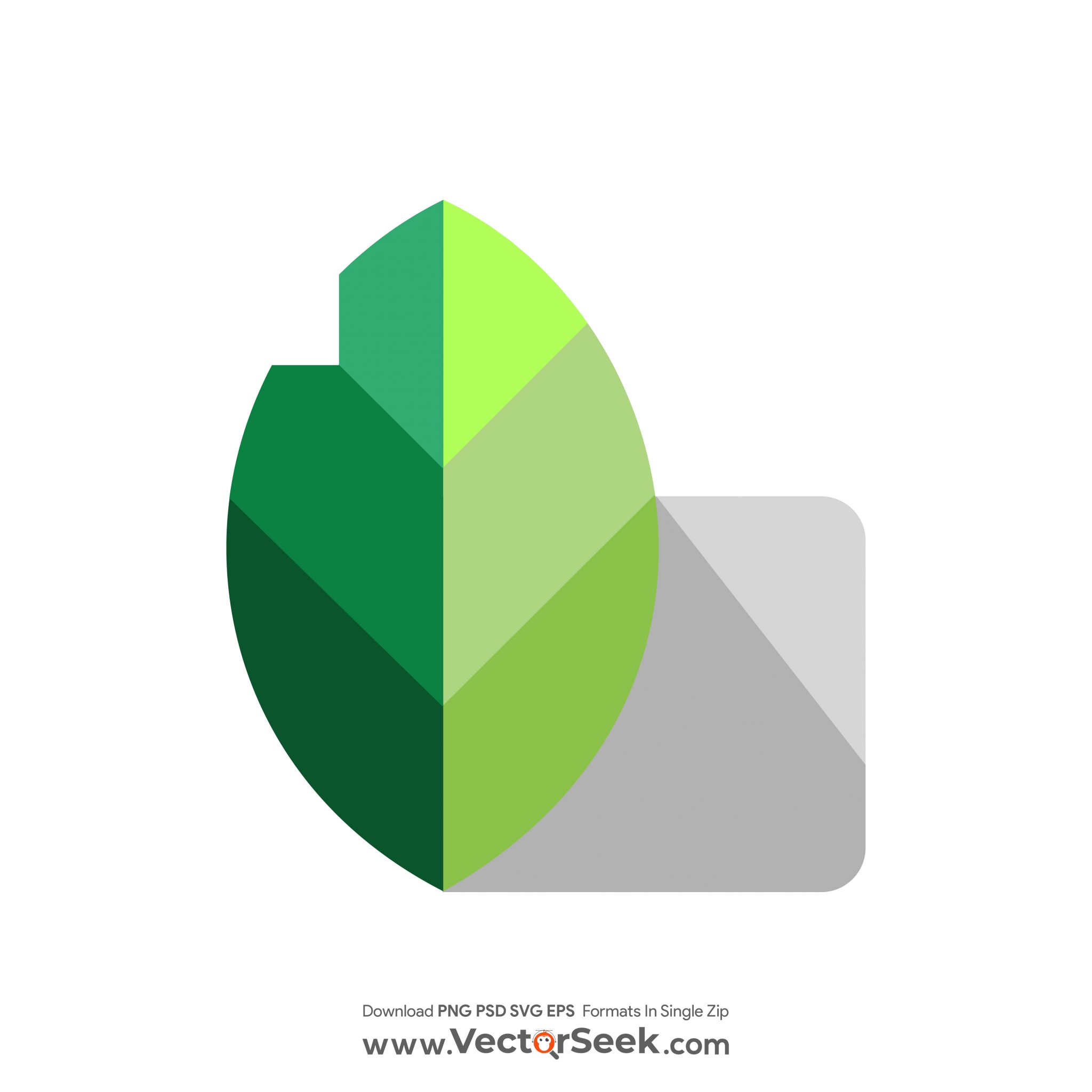 Snapseed Logo Vector - (.Ai .PNG .SVG .EPS Free Download)