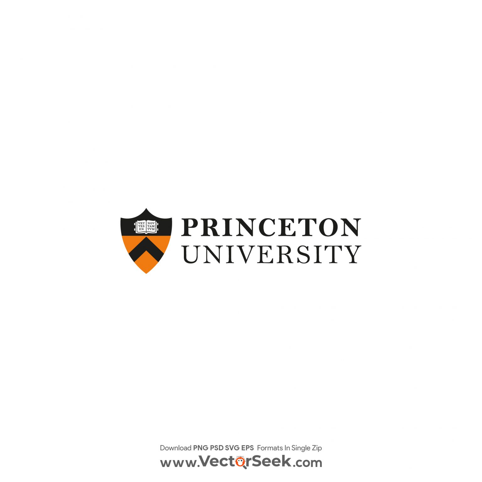 Princeton Rays Logo Vector - (.Ai .PNG .SVG .EPS Free Download)
