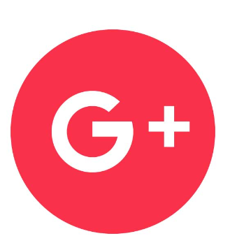 Red Google Plus Icon Vector - (.Ai .PNG .SVG .EPS Free Download)