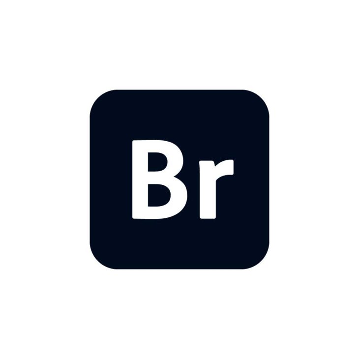 Adobe Bridge CC Logo Vector - (.Ai .PNG .SVG .EPS Free Download)