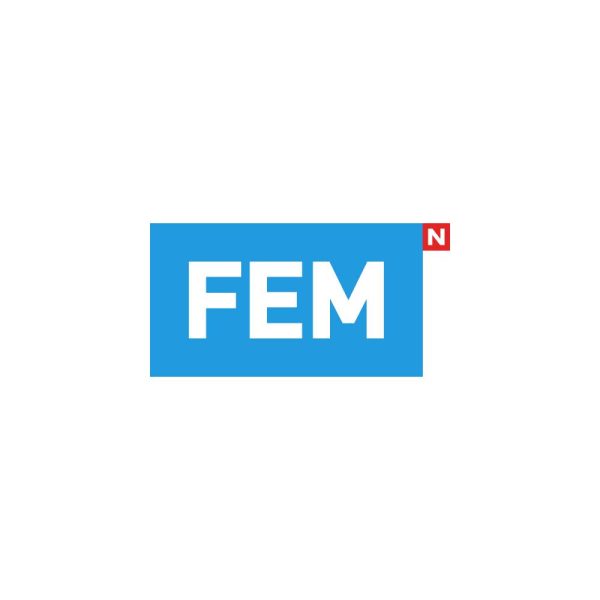 Fem Logo Vector - (.Ai .PNG .SVG .EPS Free Download)