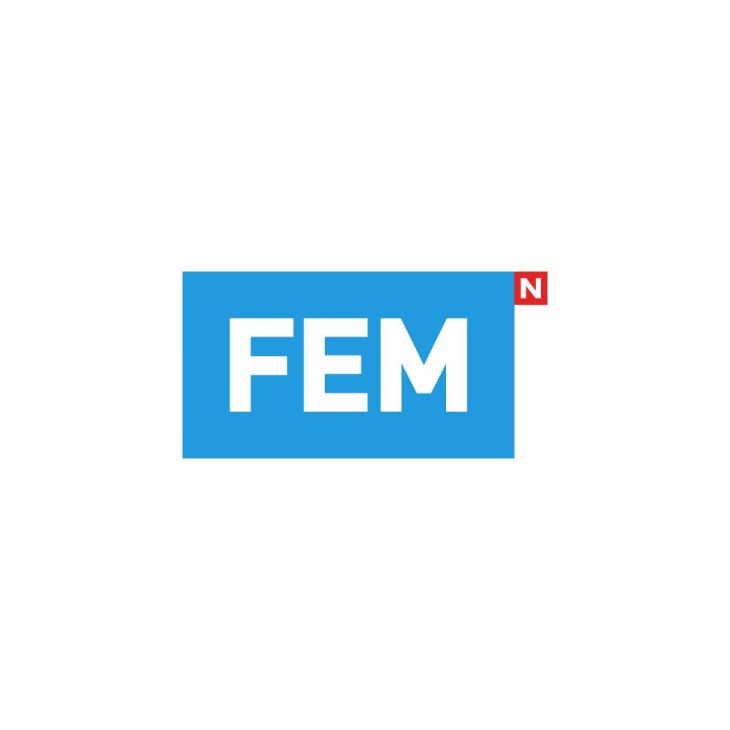 Fem Logo Vector - (.Ai .PNG .SVG .EPS Free Download)