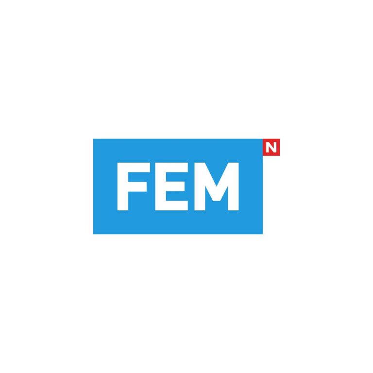 Fem Logo Vector - (.Ai .PNG .SVG .EPS Free Download)