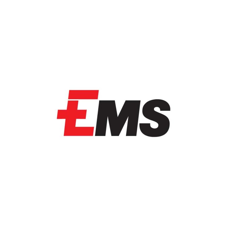 Ems Chemie Logo Vector - (.Ai .PNG .SVG .EPS Free Download)
