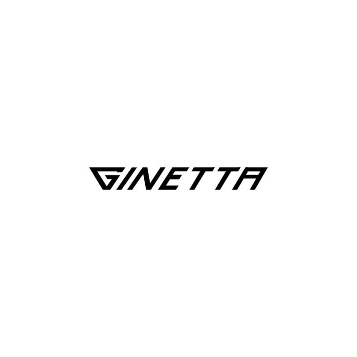 Ginetta Logo Vector - (.Ai .PNG .SVG .EPS Free Download)