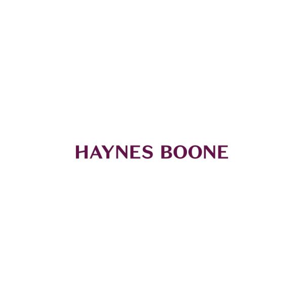 Haynes and Boone Logo Vector - (.Ai .PNG .SVG .EPS Free Download)