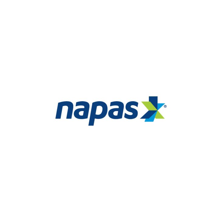 Napas Logo Vector - (.Ai .PNG .SVG .EPS Free Download)