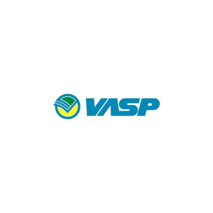 VASP Logo Vector - (.Ai .PNG .SVG .EPS Free Download)