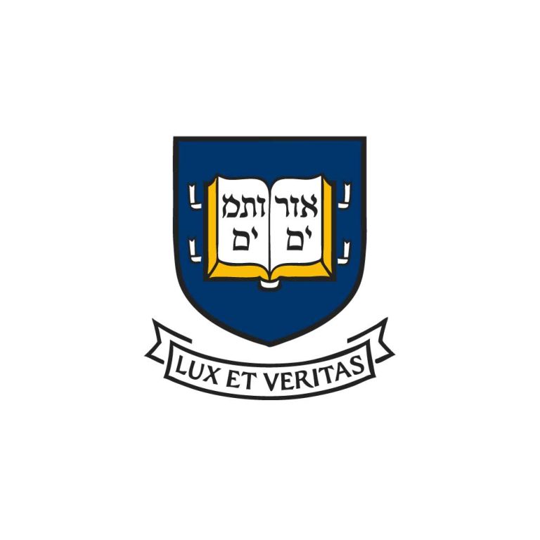 FAU Logo Vector - (.Ai .PNG .SVG .EPS Free Download)