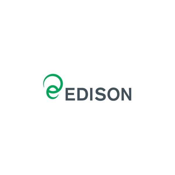 Edison logo Vector - (.Ai .PNG .SVG .EPS Free Download)