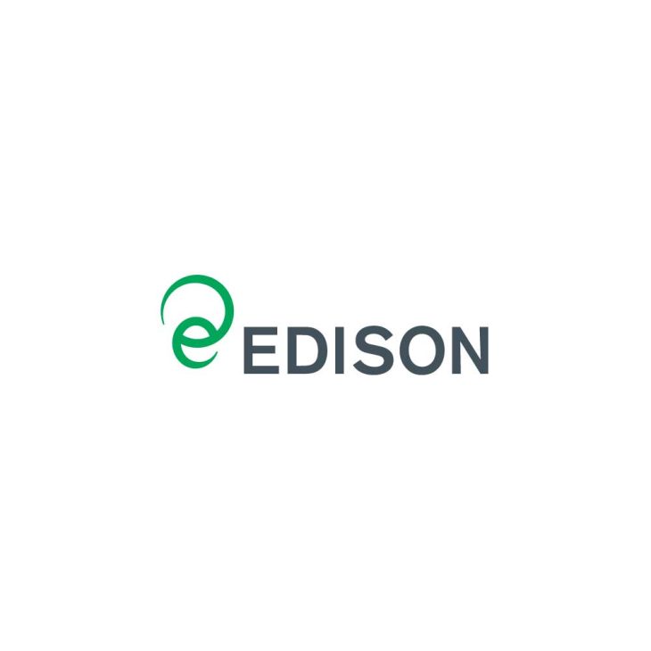 Edison logo Vector - (.Ai .PNG .SVG .EPS Free Download)