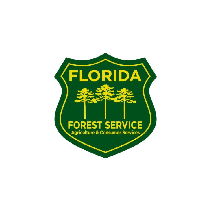 Florida Department of Health Logo Vector - (.Ai .PNG .SVG .EPS Free ...