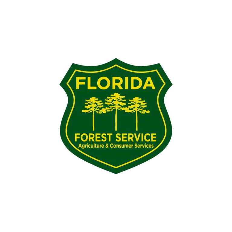 Florida Forest Service Logo Vector - (.Ai .PNG .SVG .EPS Free Download)