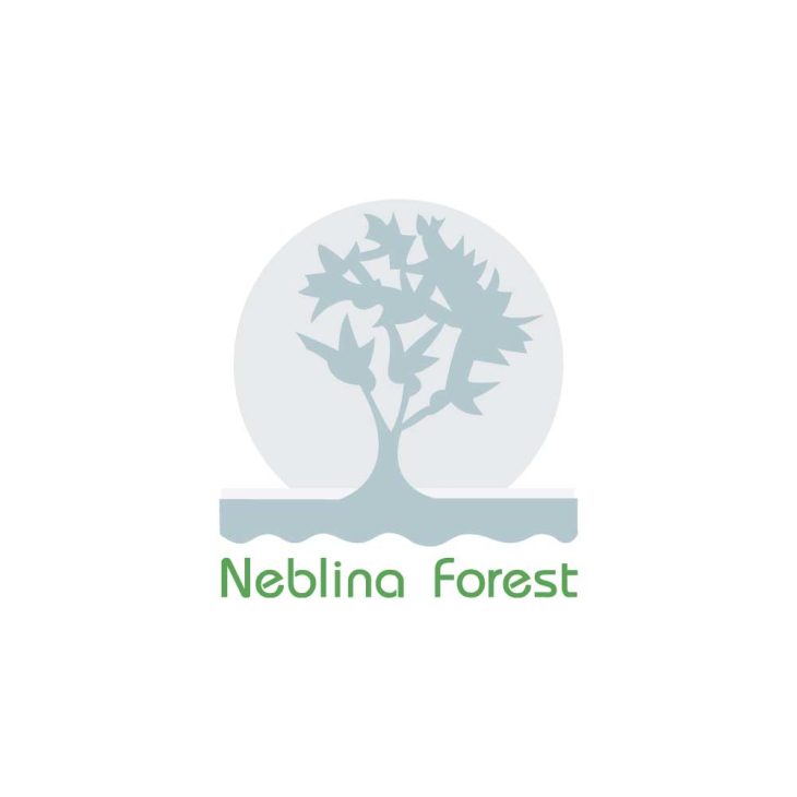 Neblina Forest Logo Vector - (.Ai .PNG .SVG .EPS Free Download)