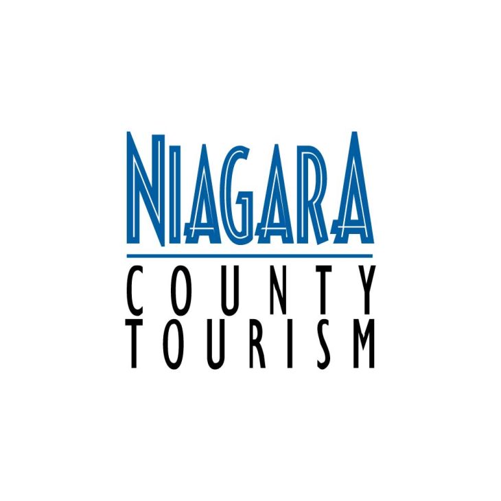 Niagara Logo Vector - (.Ai .PNG .SVG .EPS Free Download)