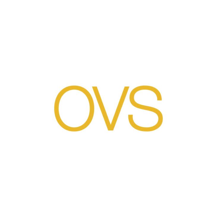 OVS 2014 Logo Vector - (.Ai .PNG .SVG .EPS Free Download)