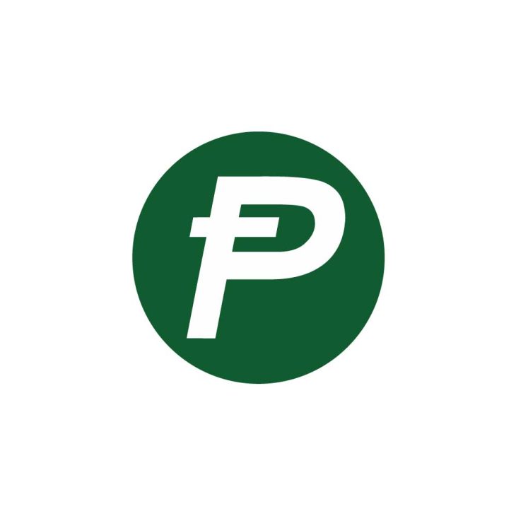 CodeinWP Logo Vector - (.Ai .PNG .SVG .EPS Free Download)