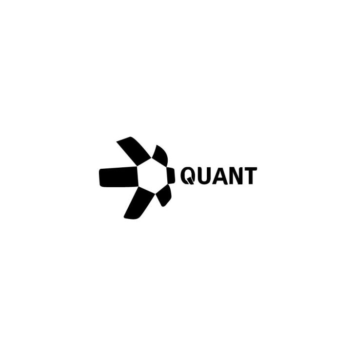 Quant (QNT) Logo Vector - (.Ai .PNG .SVG .EPS Free Download)