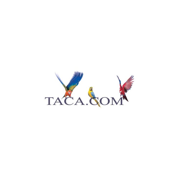 TACA Air Lines Logo Vector - (.Ai .PNG .SVG .EPS Free Download)