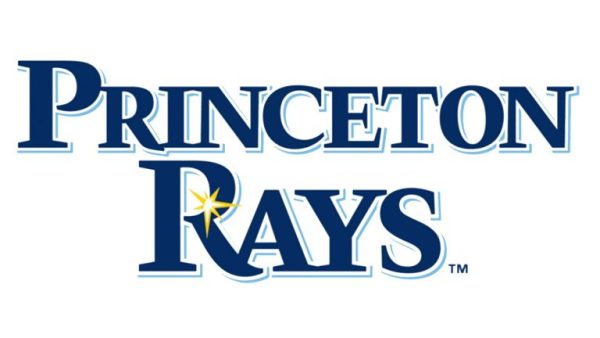 Princeton Rays Logo Vector - (.Ai .PNG .SVG .EPS Free Download)