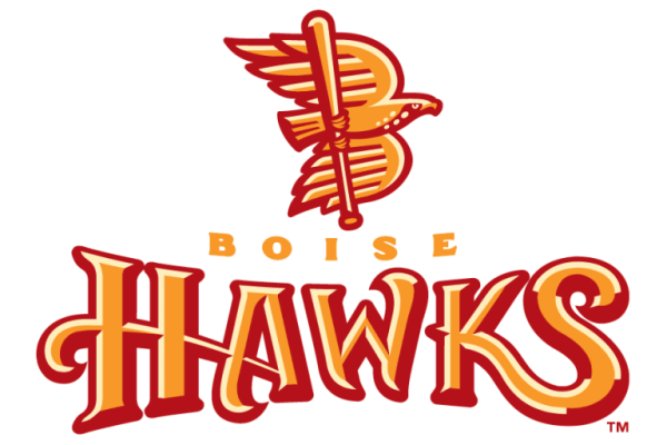 Boise Hawks Logo Vector - (.Ai .PNG .SVG .EPS Free Download)