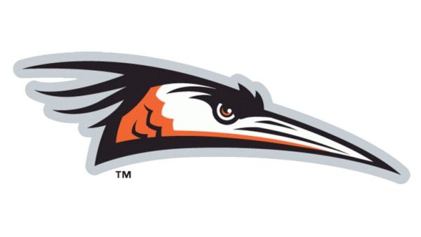 Delmarva Shorebirds Logo Vector - (.Ai .PNG .SVG .EPS Free Download)