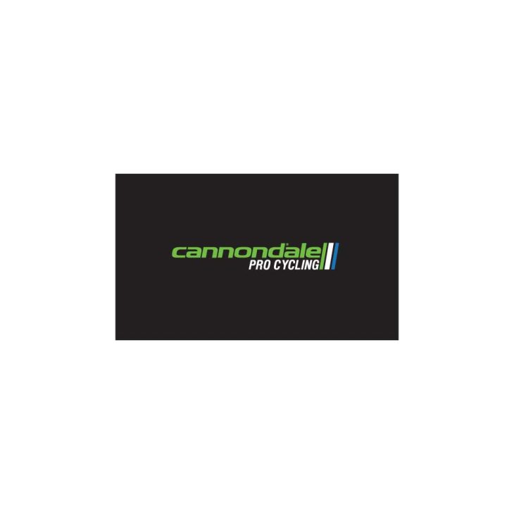 Cannondale Pro Cycling Logo Vector - (.Ai .PNG .SVG .EPS Free Download)