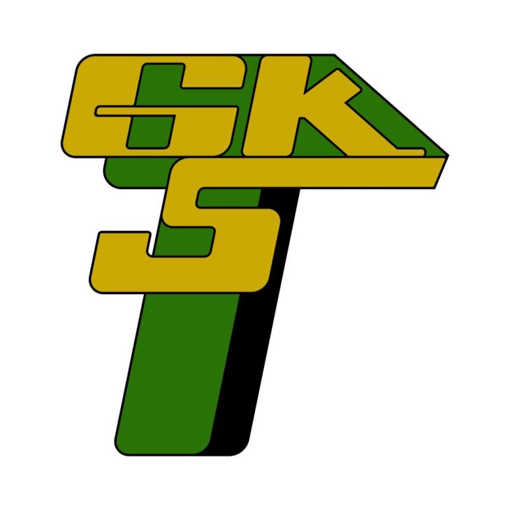Gks Gornik Leczna Logo Vector - (.Ai .PNG .SVG .EPS Free Download)