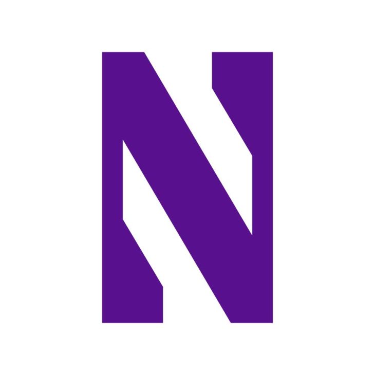 Northwestern Wildcats Logo Vector - (.Ai .PNG .SVG .EPS Free Download)