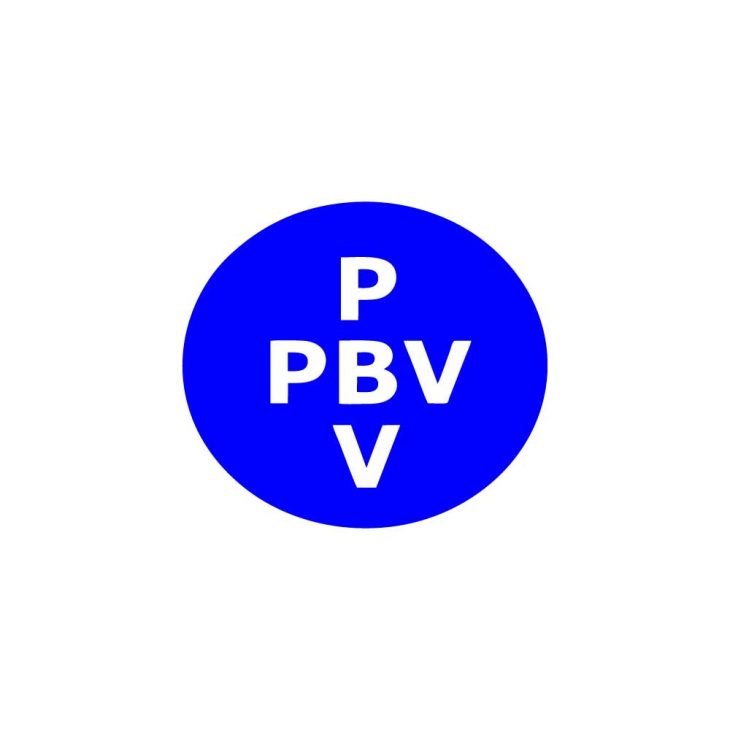 PBV Partido da Boa Vontade Logo Vector - (.Ai .PNG .SVG .EPS Free Download)