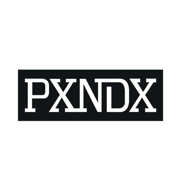 PXNDX Logo Vector - (.Ai .PNG .SVG .EPS Free Download)