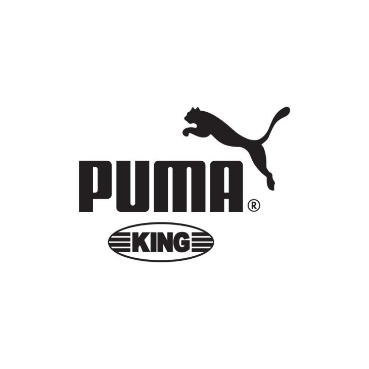 Puma Logo Vector - (.Ai .PNG .SVG .EPS Free Download)