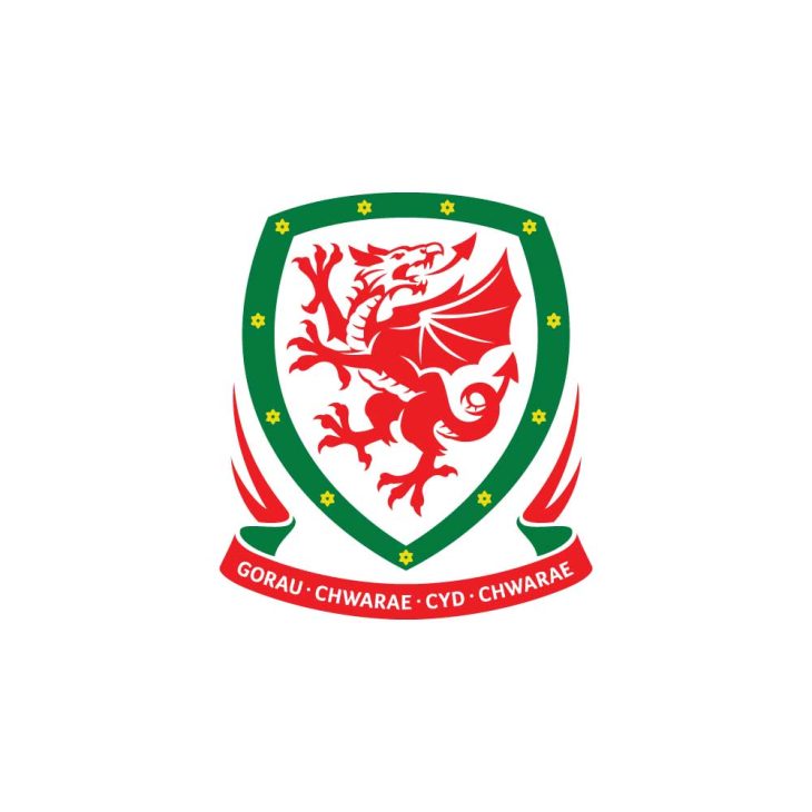 The Football Association Of Wales (2020) Logo Vector - (.Ai .PNG .SVG ...