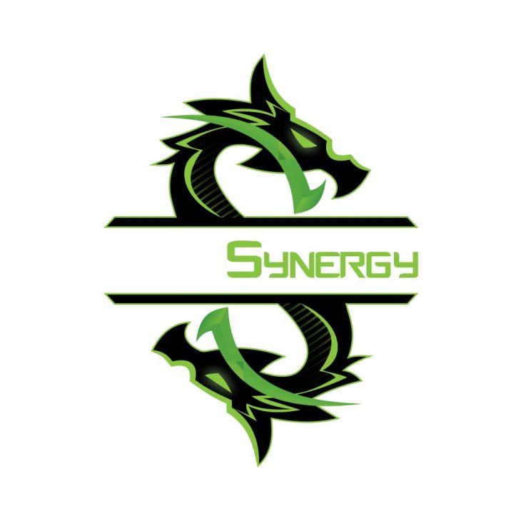 team synergy Logo Vector - (.Ai .PNG .SVG .EPS Free Download)