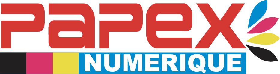 PAPEX NUMERIQUE Logo PNG, SVG, AI Vector – Free Download