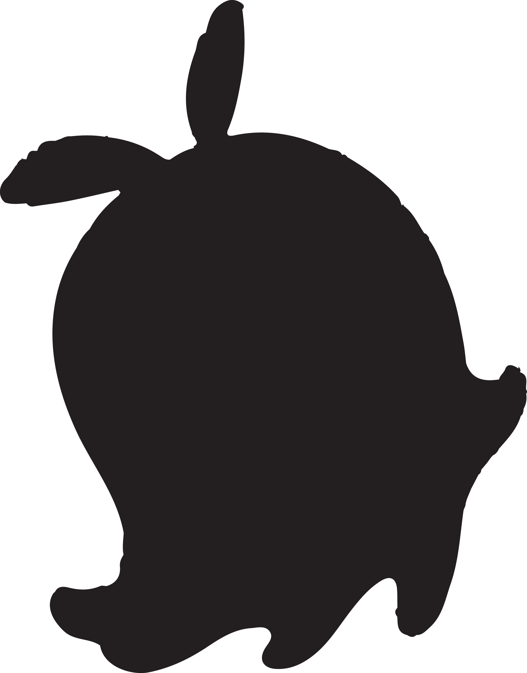 Finding Nemo Fruit Silhouette Logo PNG, SVG, AI Vector – Free Download