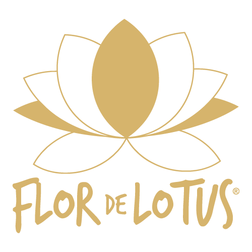 Flor de Lotus Logo PNG (Transparent) SVG AI – Free Download