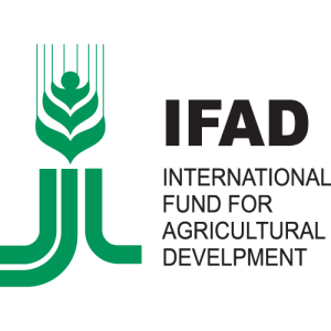 IFAD Logo PNG (Transparent) SVG AI – Free Download